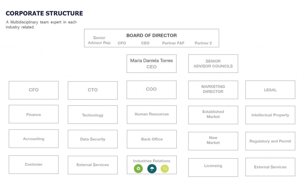 Corporate Structure